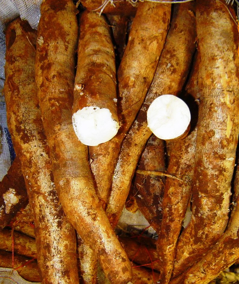 Luis Galarza: MANDI’Ó (Leyenda Guaraní)