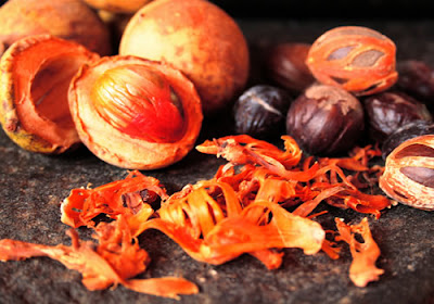 Sri Lankan Tasty Recipes: Sadikka (Nutmeg)