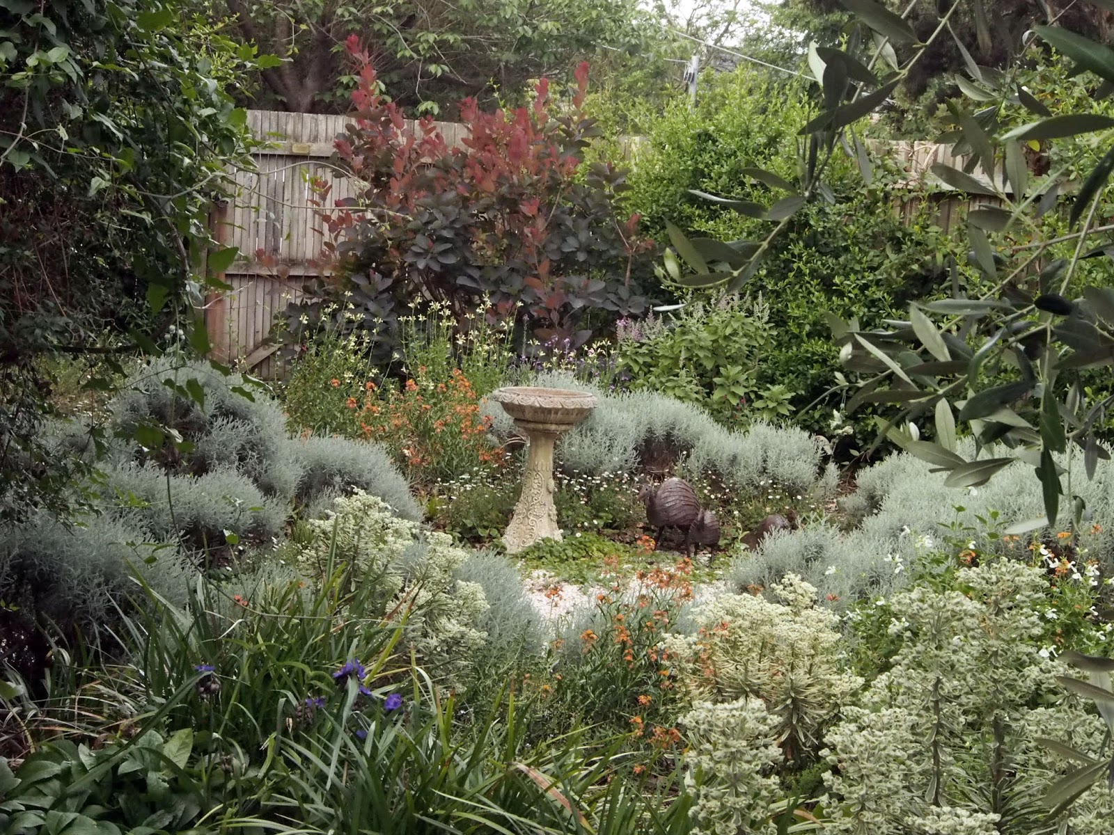 saving lives, and front garden in spring