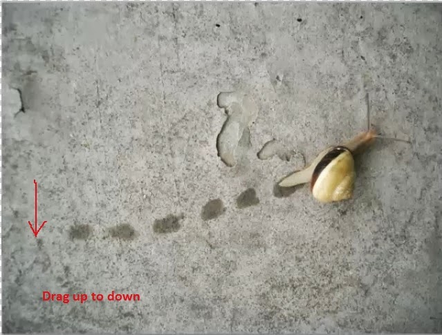 Online Classes for Photoshop: Spot Healing Brush tool