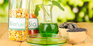 Jenis-Jenis Biofuel yang di kembangkan menjadadi Bahan Bakar ...