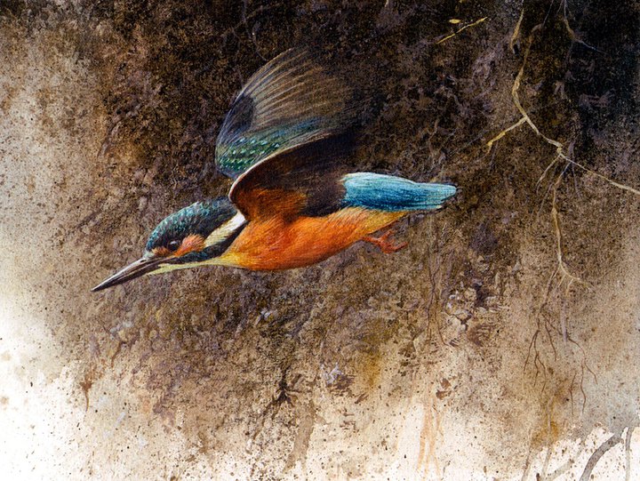 Maher Art Gallery: Robert Bateman paintings