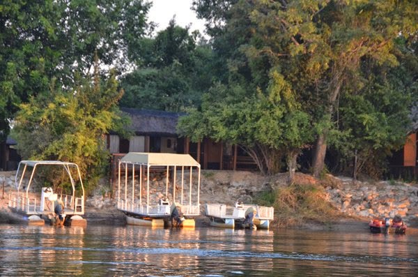 News from Southern Africa & Namibia: Namibia: update from Kalizo Lodge ...