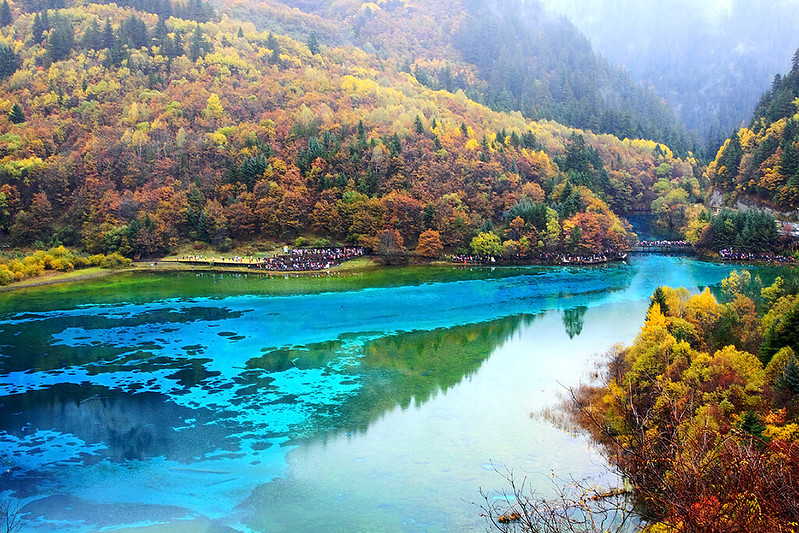Five Flower Lake – Jiuzhaigou