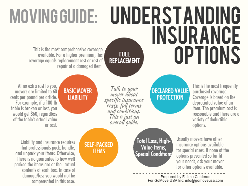 Understanding Insurance Options ~ GO MOVE USA