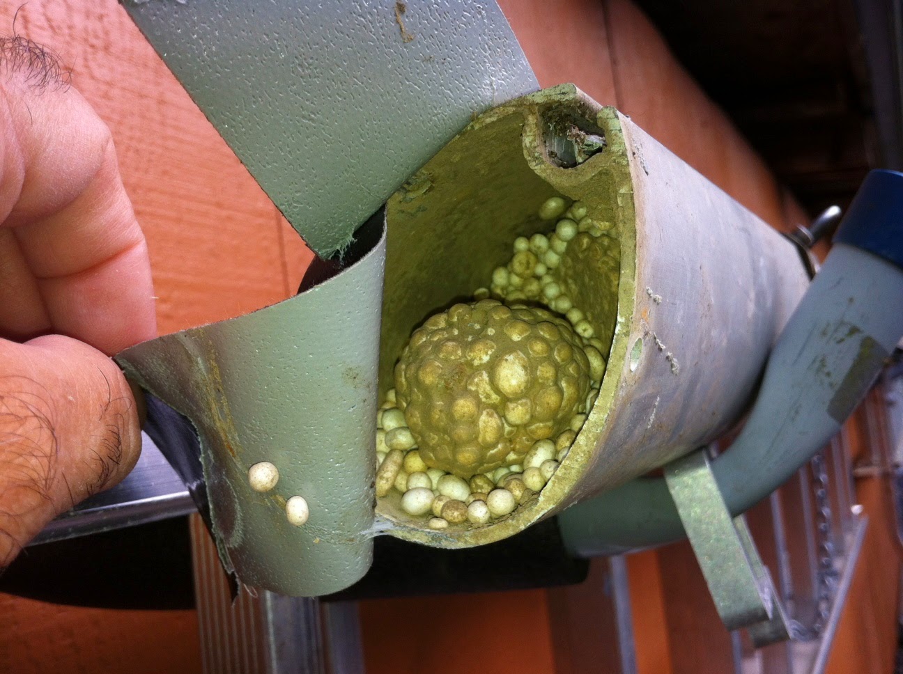 Tanzer 16: Could a Tanzer 16 Mast Float--Theoretically -- Maybe