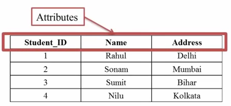 What is database? ~ Computer Languages (clcoding)