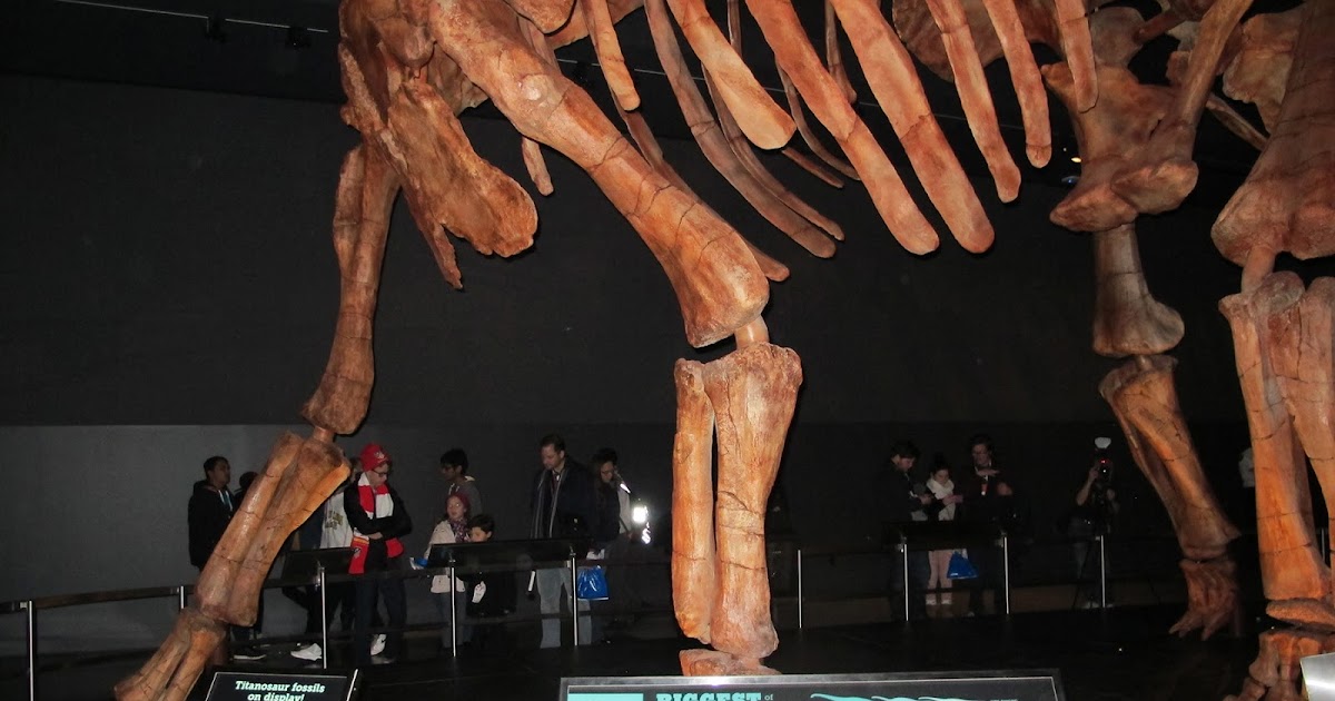 Big Apple Secrets: Titanosaur - the largest dinosaurs ever discovered ...