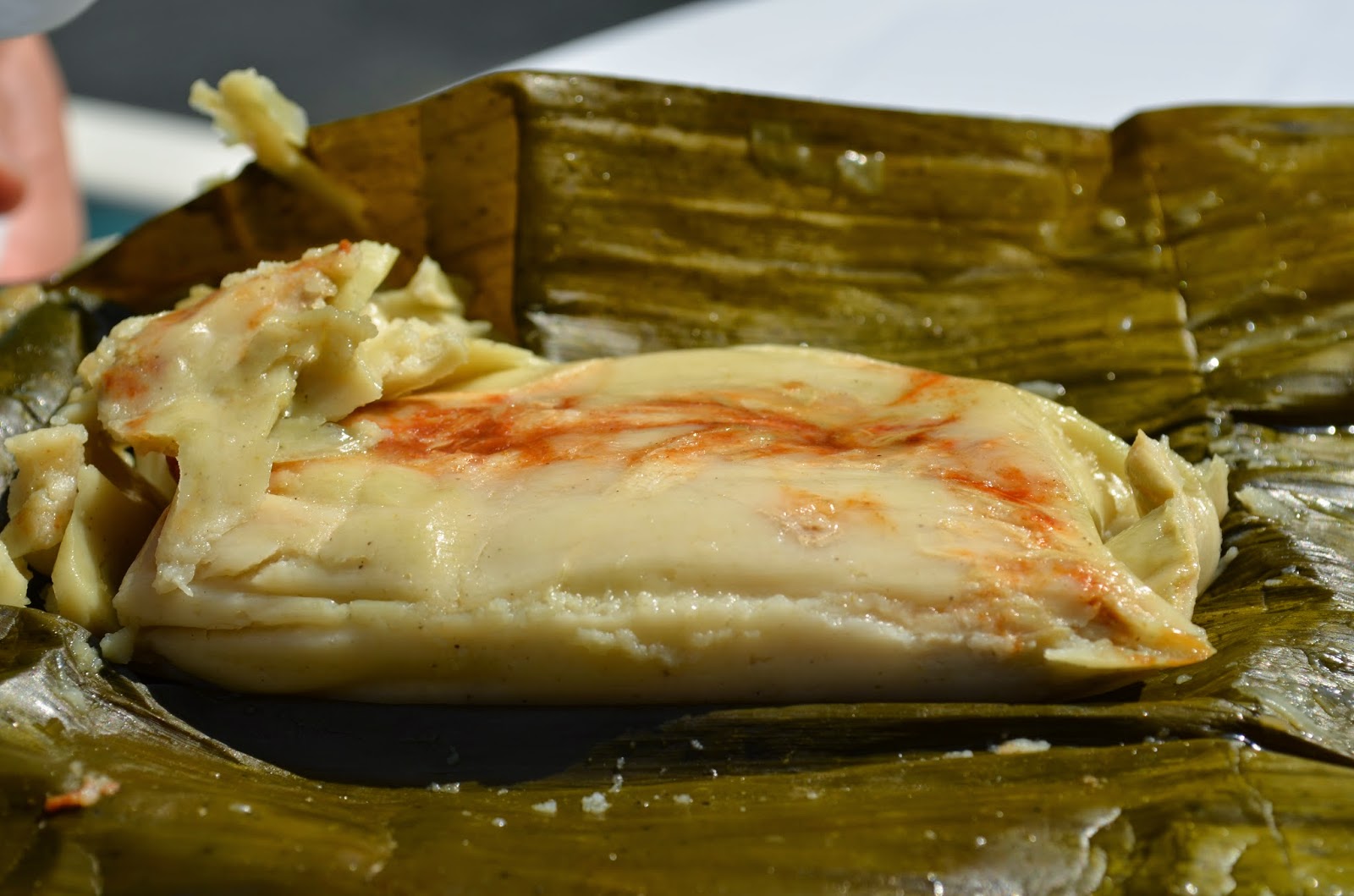 De vuelta y vuelta: Tamal mexicano