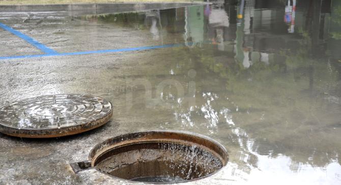 SacroProfanoSacro: Una caccola sul viso, è per “sempre”?