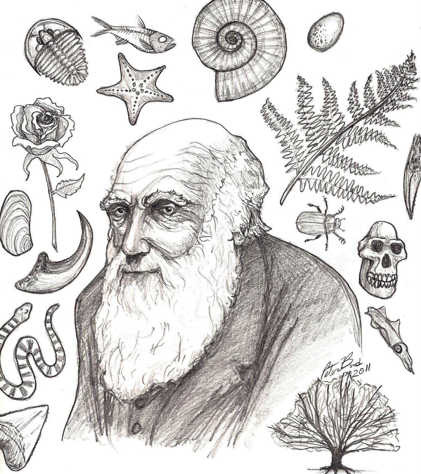 ART Evolved: Life's Time Capsule: Happy Darwin Day 2011!