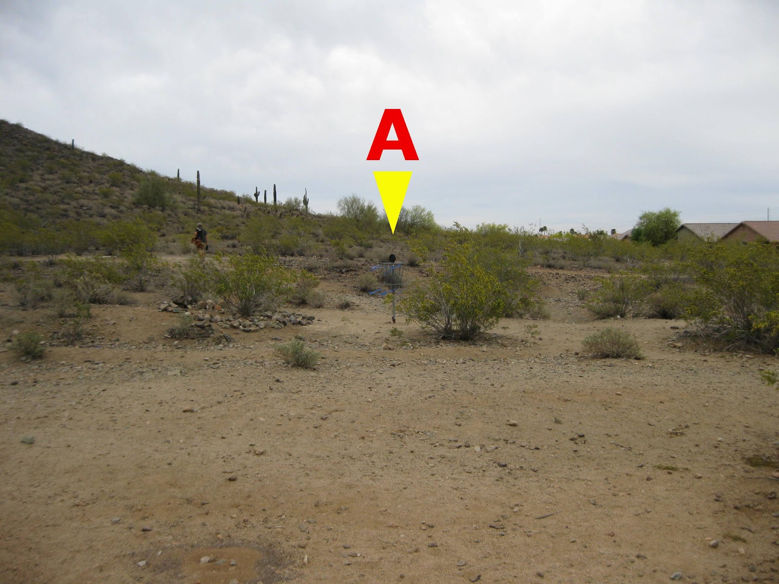 Buffalo Ridge Disc Golf Course: HOLE 16