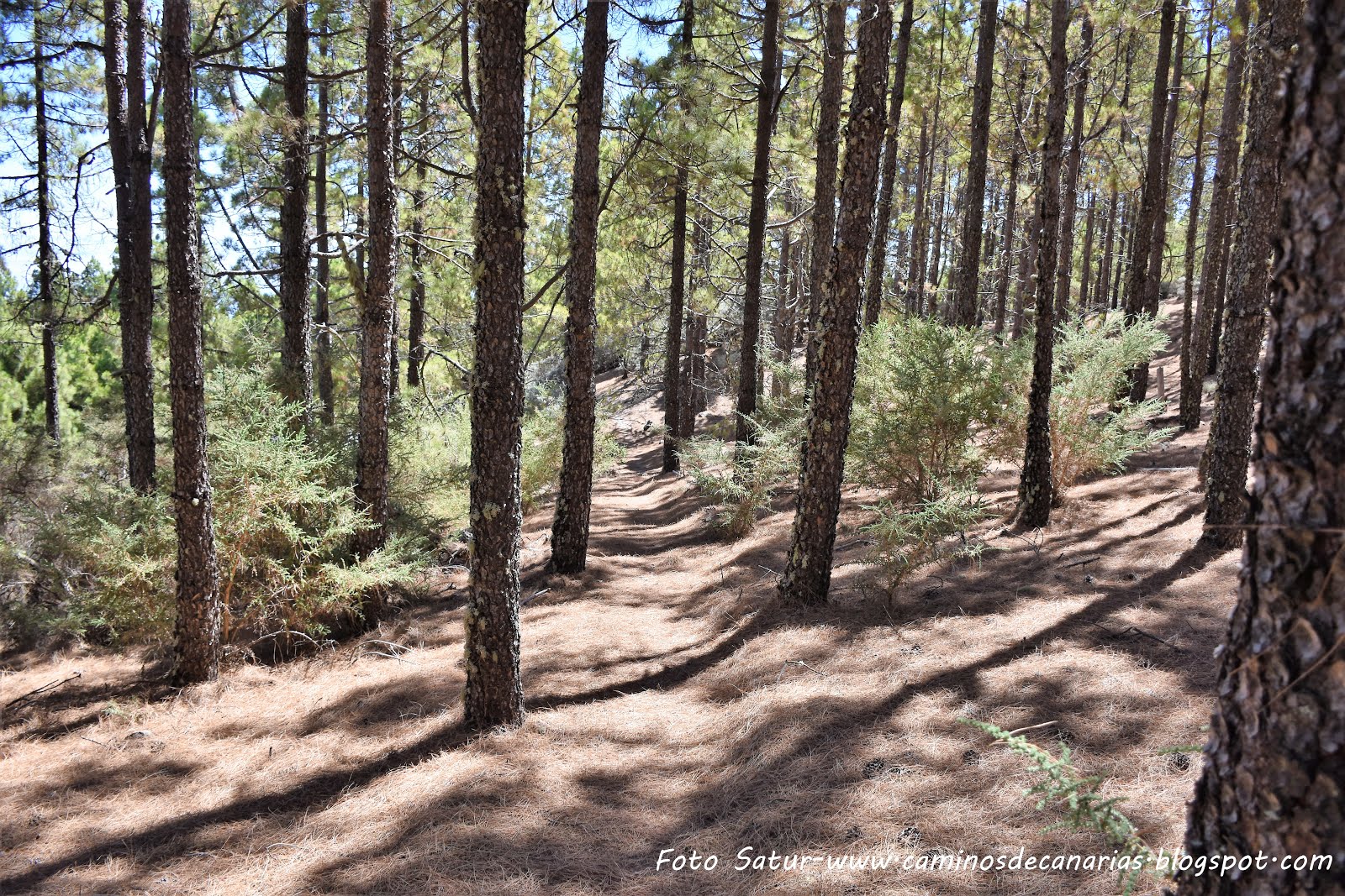 Circular por la Caldera de los Marteles: Los Cascajales, Cueva del Agua ...
