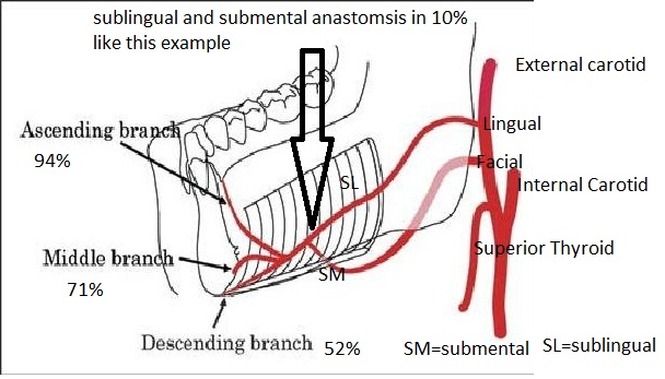 Surgical Dental Implant Rules