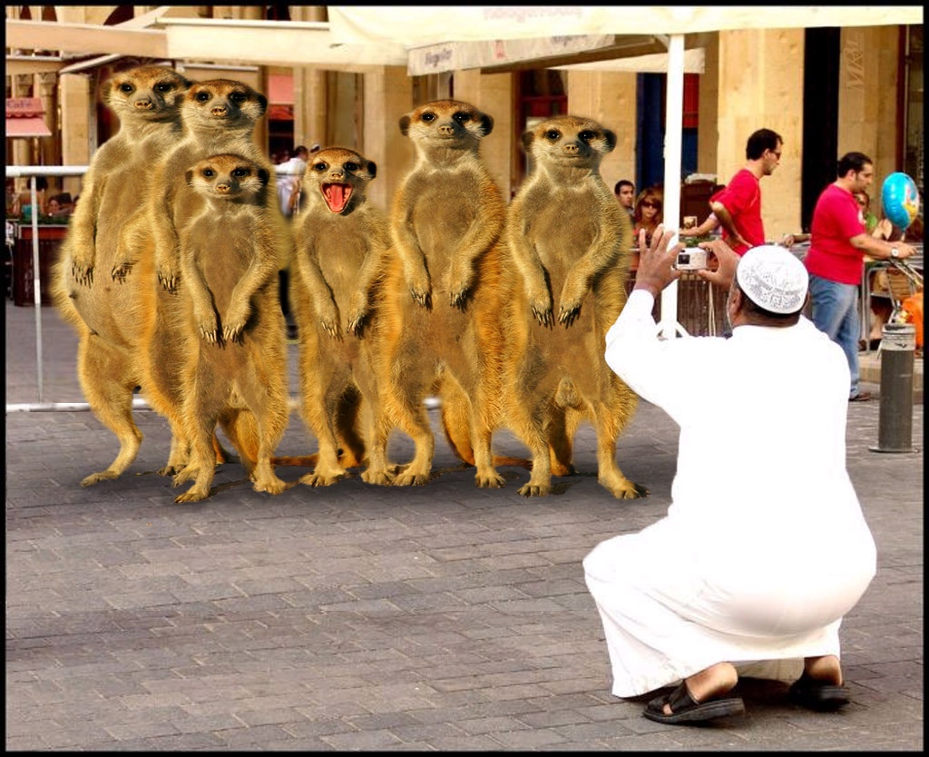 30+ Most Funny Photos Of The World