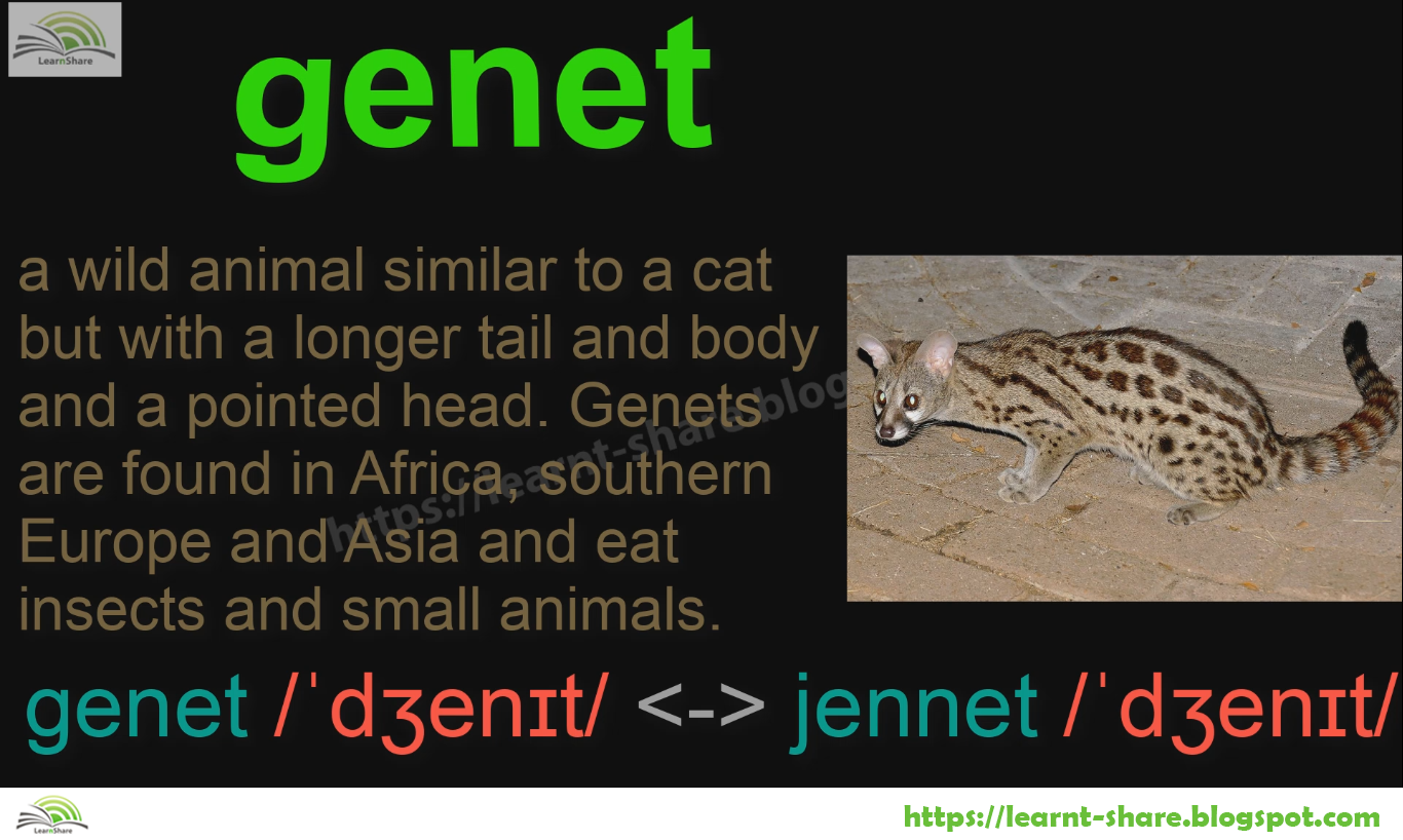 PICTURES: List of English Homophones that contain pronunciation of tʃ ...