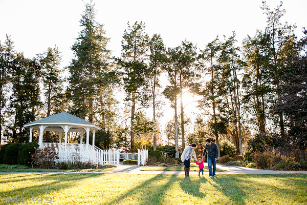 How to shoot photos with sun behind the subject - papixelpix