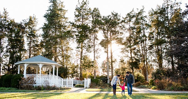 How to shoot photos with sun behind the subject - papixelpix