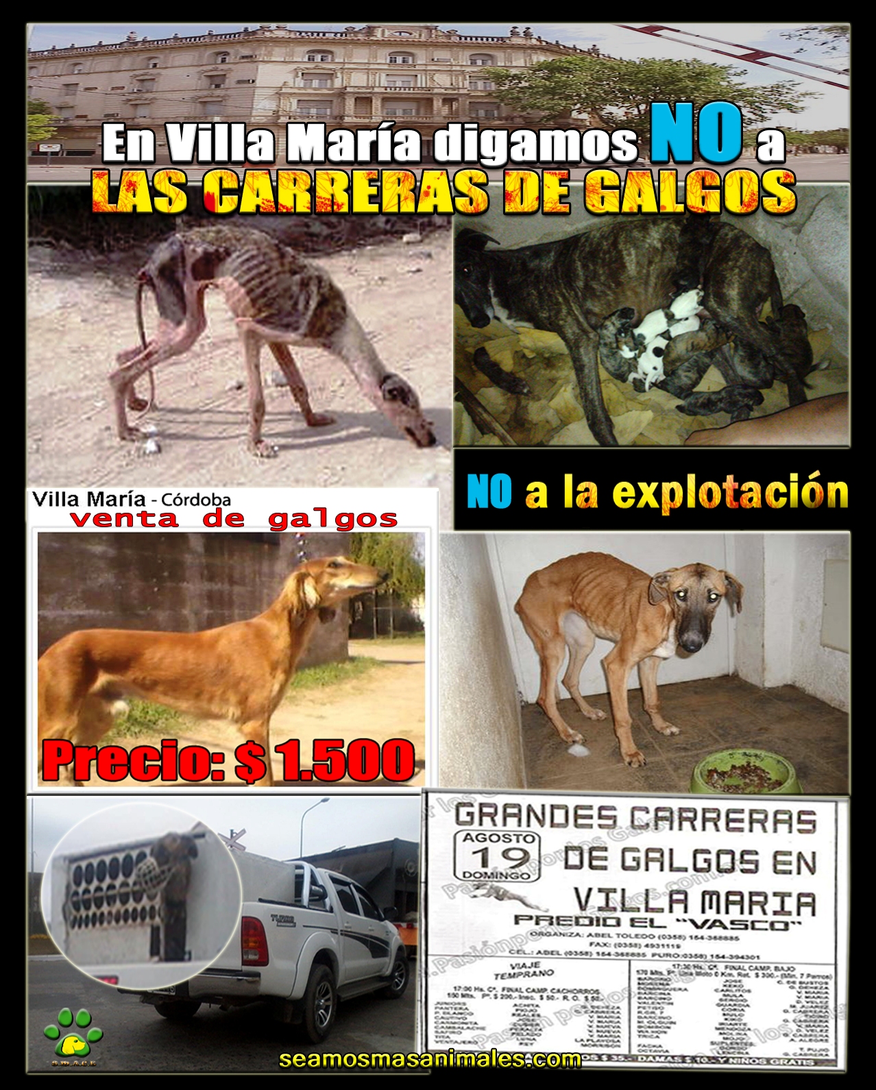 Día Internacional contra la Explotación Animal en las CARRERAS DE ...