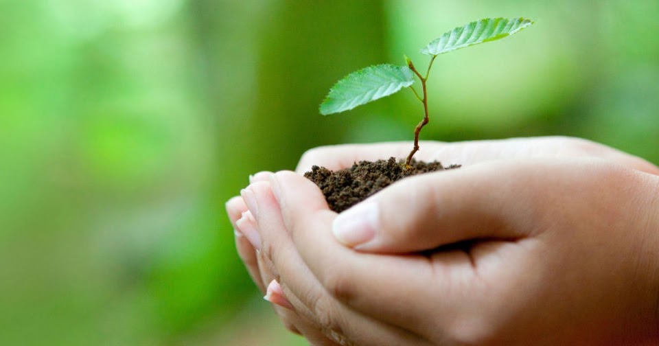 15+ best way to make environment clean