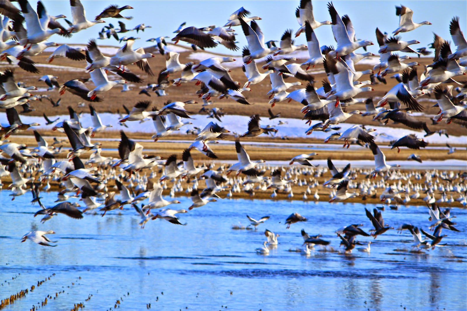 Wishek, North Dakota: What Spring brings to a North Dakota small town...