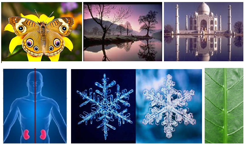 Geometrik cisimlerin Simetrisi « Net Fikir