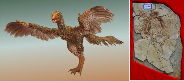 Superdub : An Entertainment Blog: Archaeological Frauds You Didn't Know ...