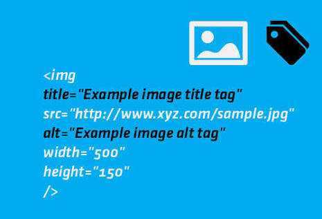 What is Alt text / Alt Tag / Text Attribute - My Learn Space
