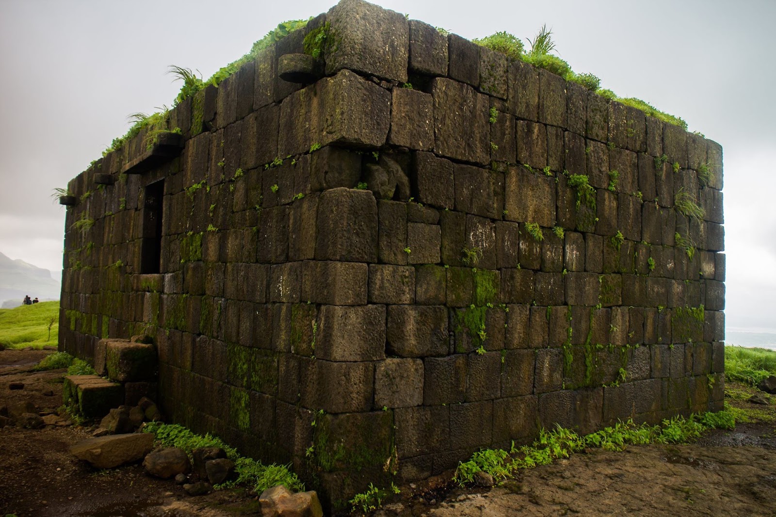 Field Clicks: The Amazing Harihar Trek ...