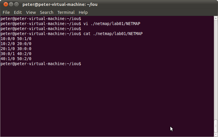 CCIE-RS Lab IOU Lession 4: About the NETMAP