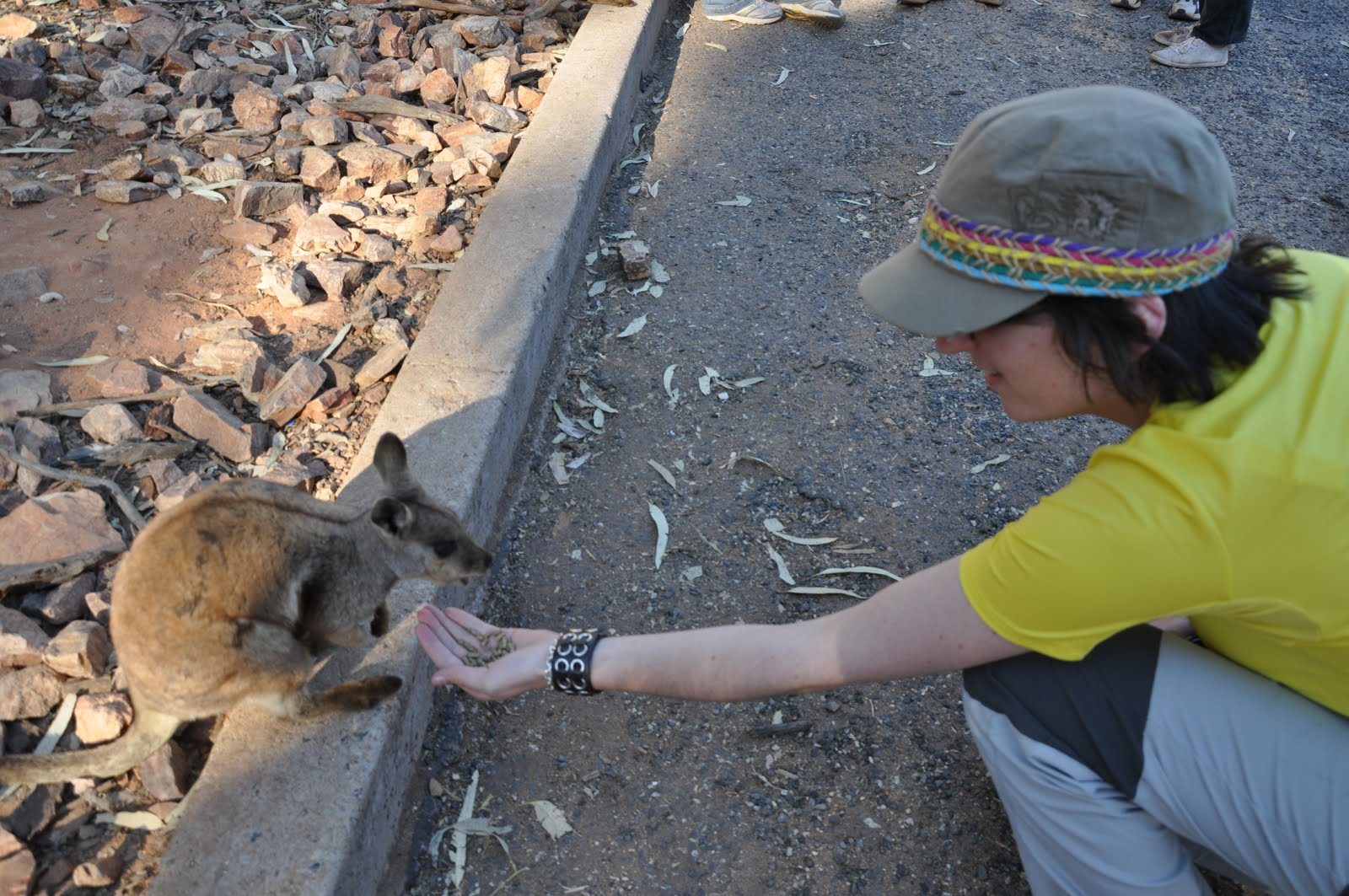 Les aventures de Jordbaer et Justin: Alice Springs - La faune