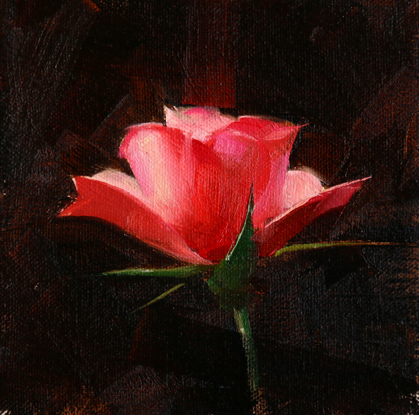 qiang-huang, a daily painter: "Rose Study 2017 03"