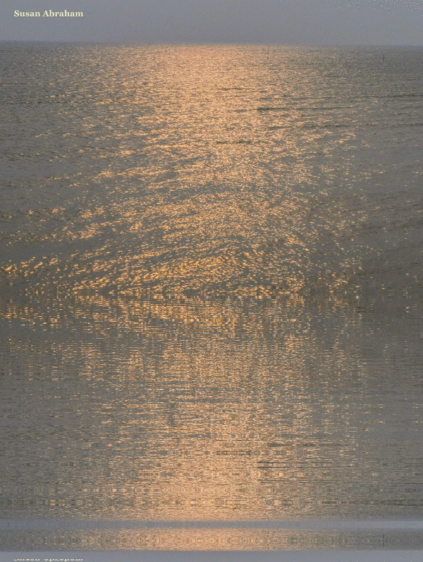 The Bride by Austin Bukenya | Of Wells, Walls and Veils