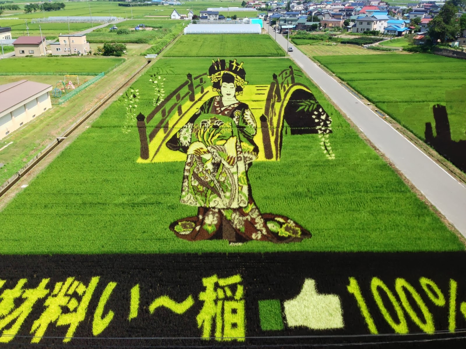 Japan: Inakadate: Ricefield "Tambo" Art