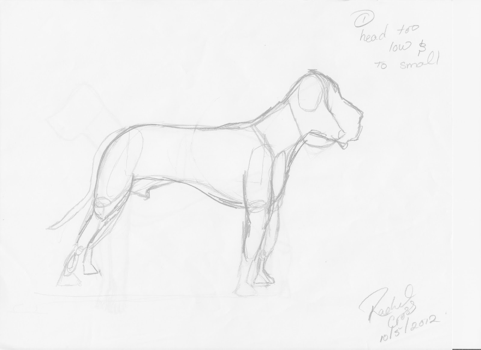 Rachel's Gallery: Animal Drawings