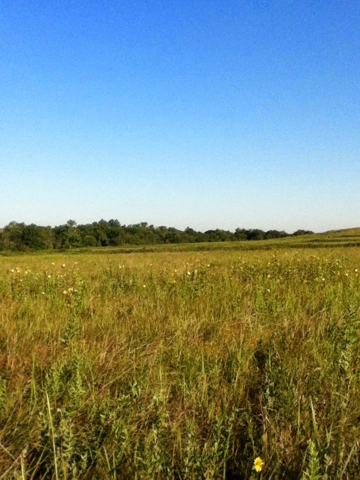 Life On The Tallgrass Prairie: Hiking Gayfeather Trail