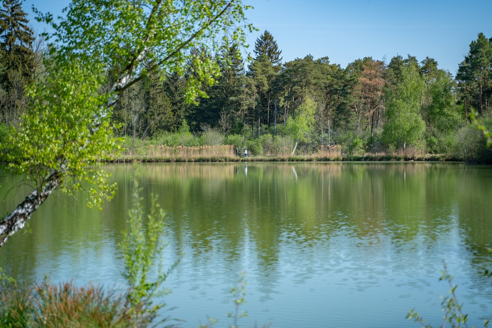Premiumwanderweg DonAUwald | Etappe 1 von Günzburg nach Offingen
