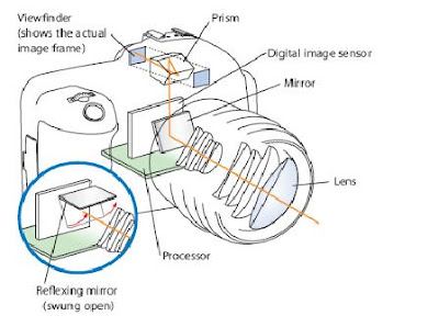 Photography: DSLR - Digital Single Lens Reflection