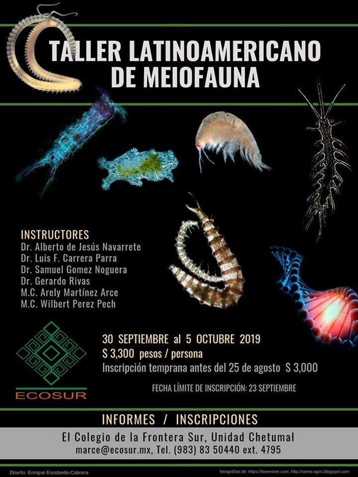 Meiofauna Perú