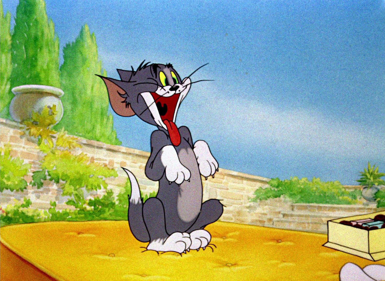 Tom & Jerry Pictures: "Springtime for Thomas"