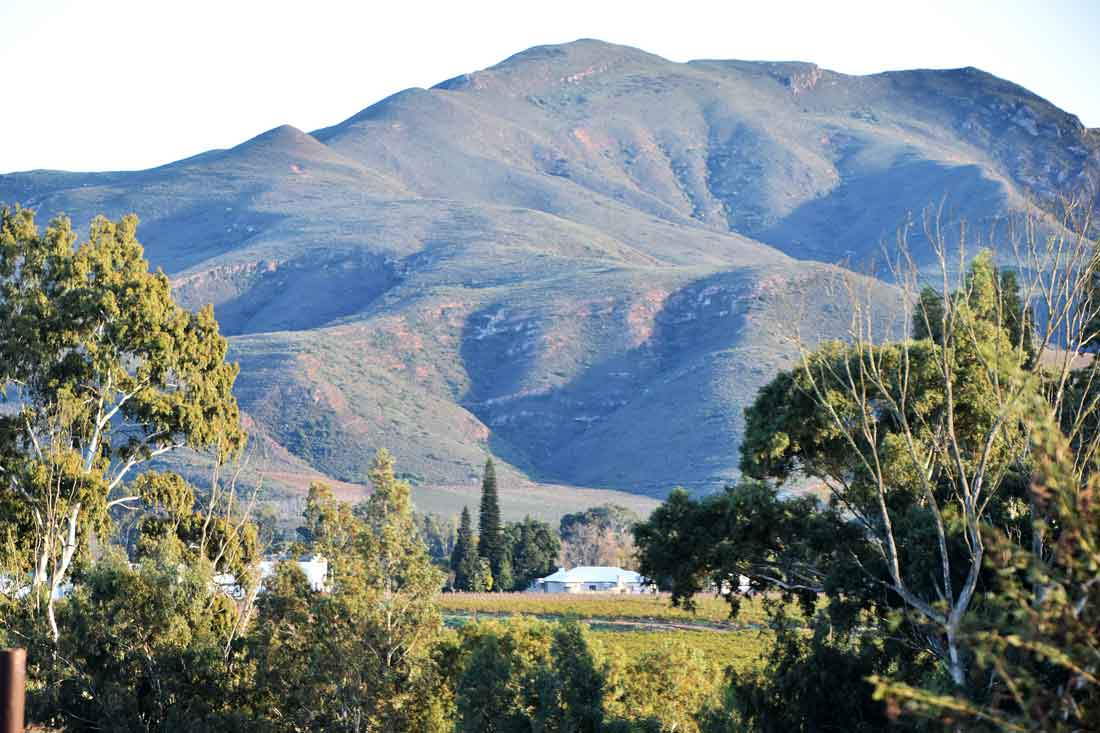 .: Robertson Wine Valley's Wacky Wine Weekend 10. Arendsig