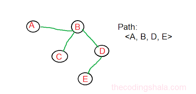 Introduction to Graph Data Structure - The Coding Shala