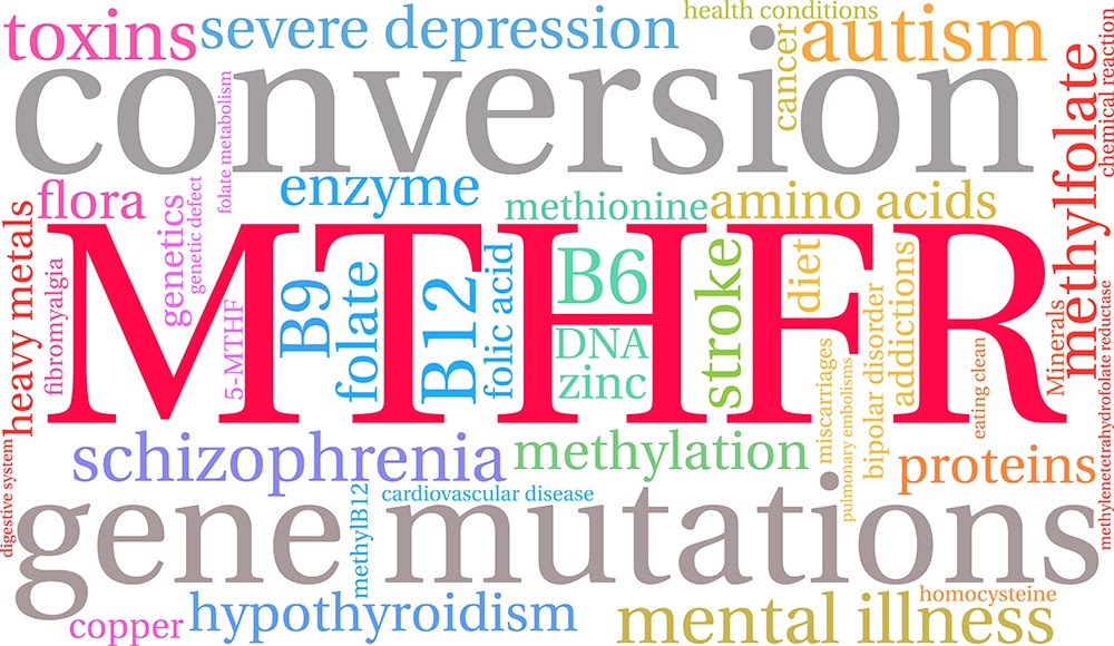 Rare Diseases 101 Everything You Should Know About The MTHFR Mutation