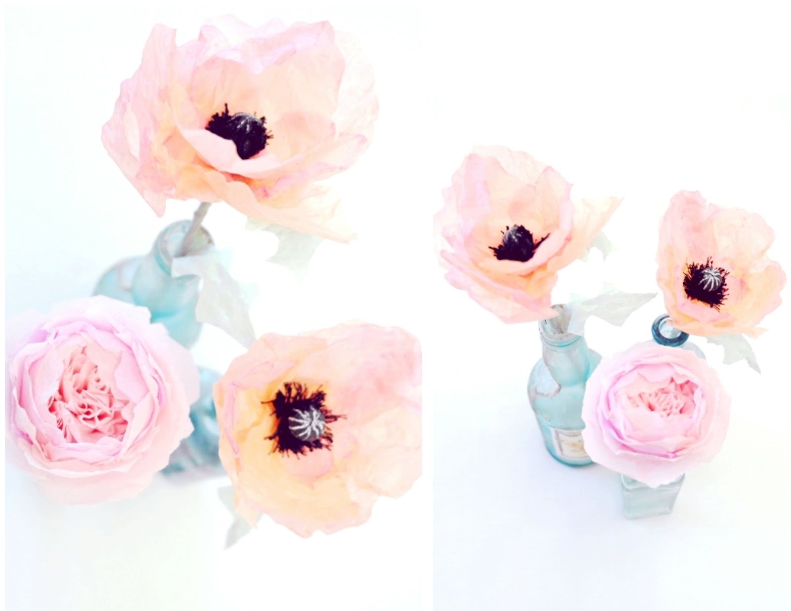 peach tissue paper poppies tutorial