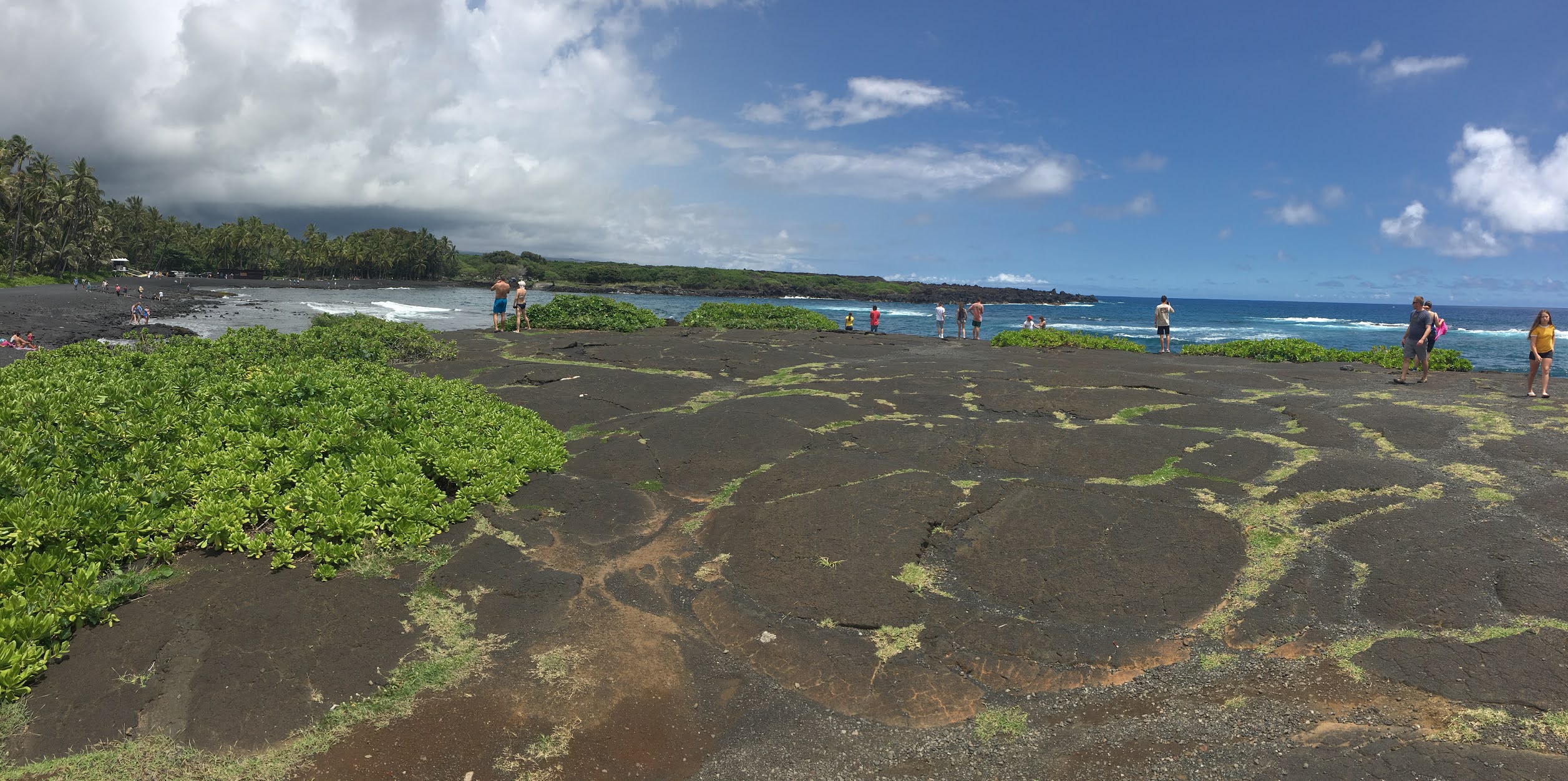 The Geology P.A.G.E.: Geological Destination - Hawaii's Punalu'u Black ...