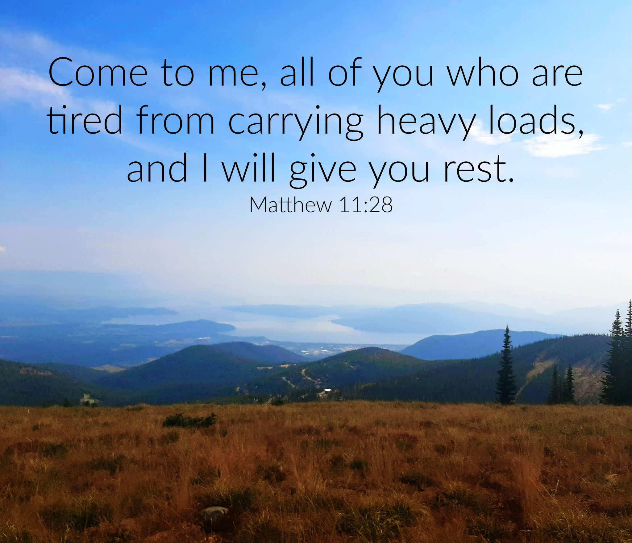 Beyond The Picket Fence: Sunday Verses