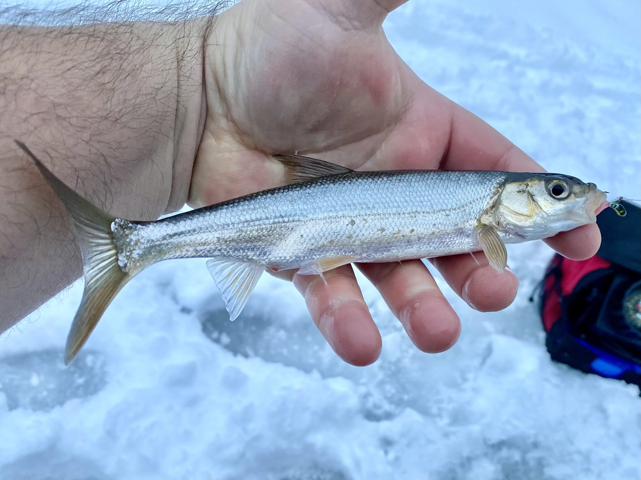 Bryanlikestofish: My Natural Habitat