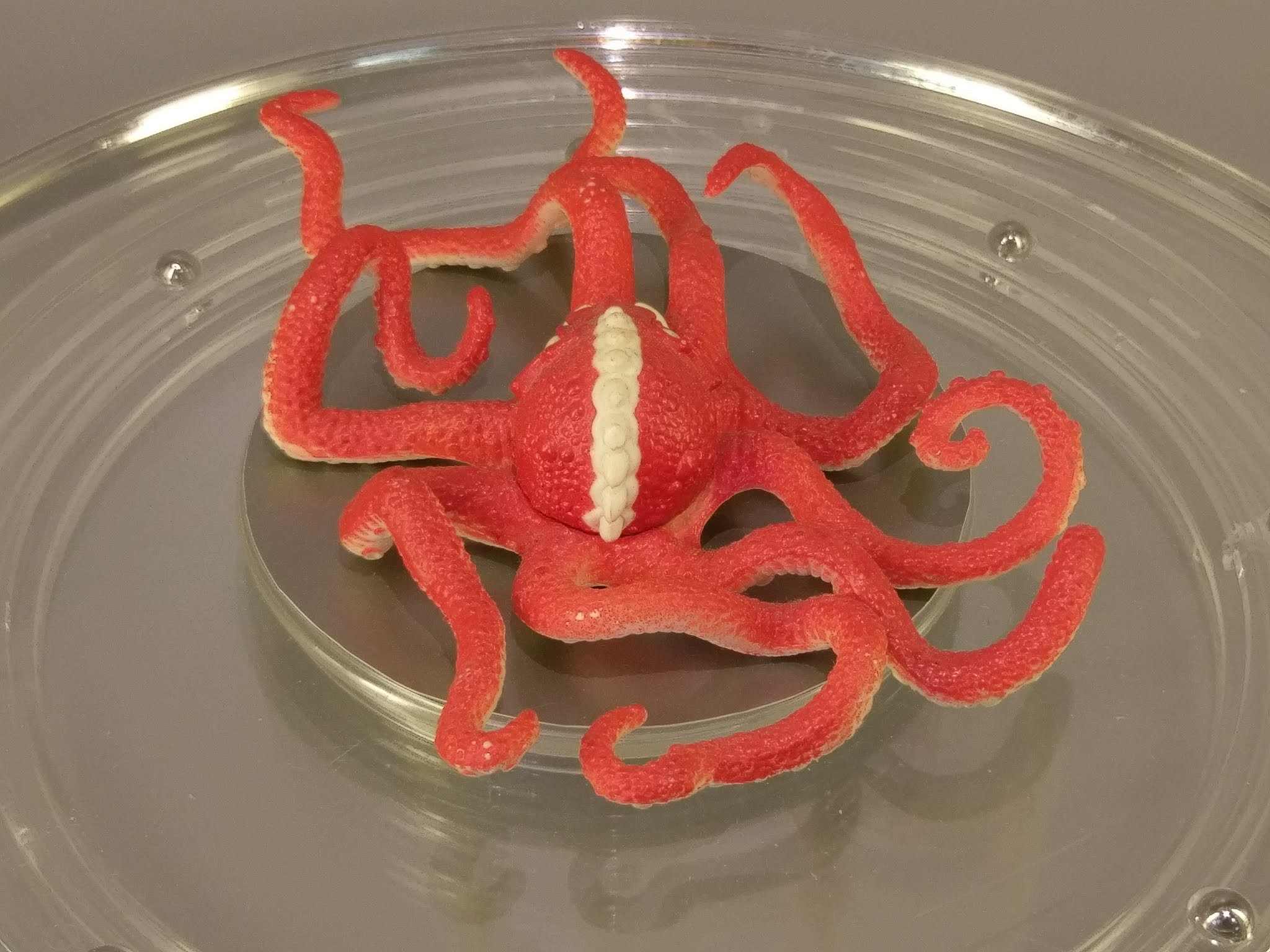 Fisher Price Imaginext Ghost Phantom OCTOPUS Pirate Island Pretend Play ...