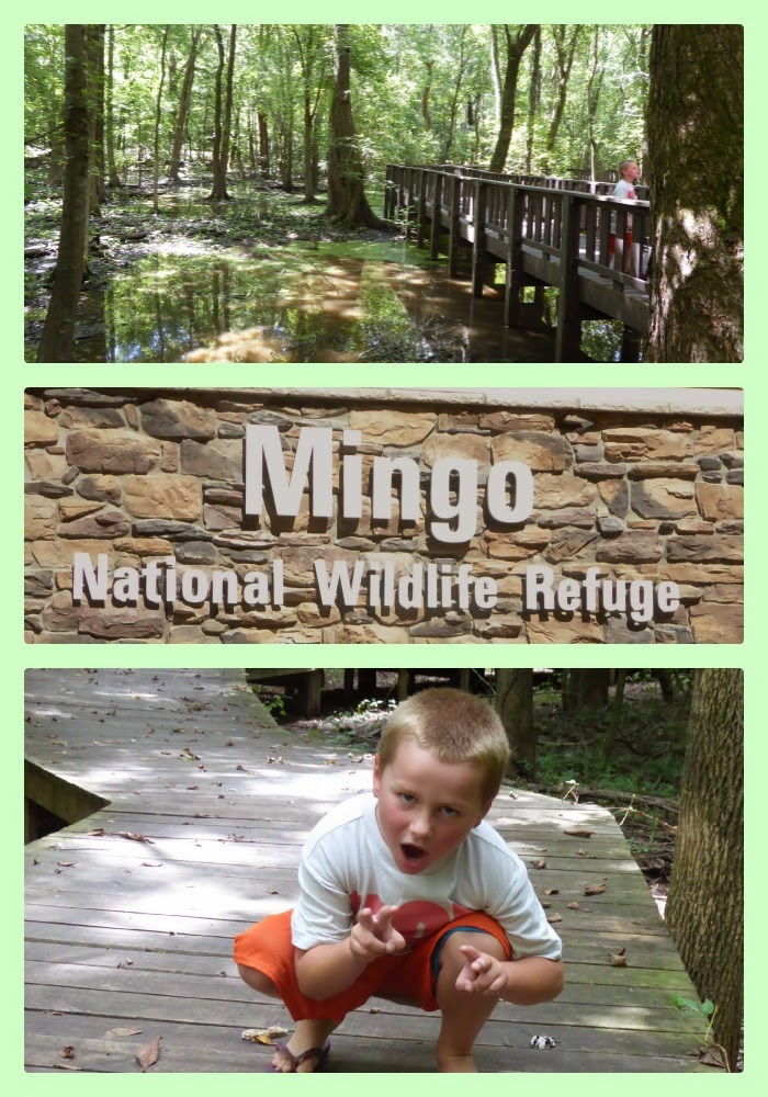 The Missouri Mom: Mingo Wildlife Refuge's Visitor Center