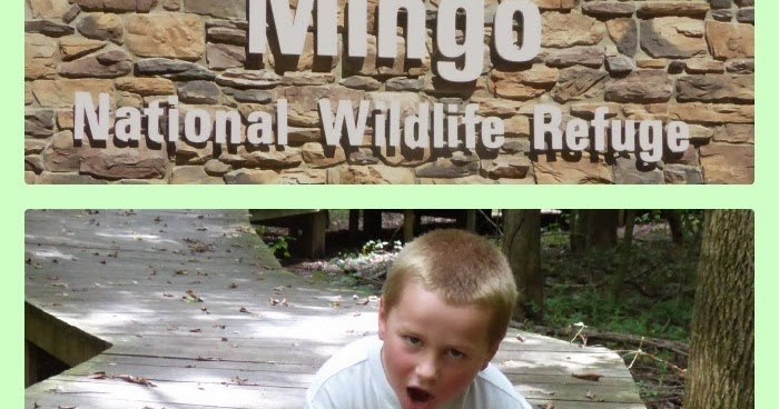 The Missouri Mom: Mingo Wildlife Refuge's Visitor Center